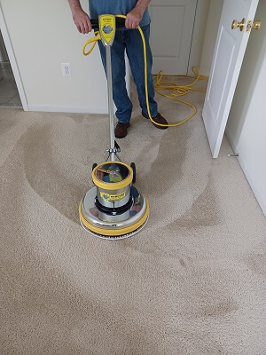 Hot Water Extraction vs Low Moisture Carpet Cleaning: Which Method is ...